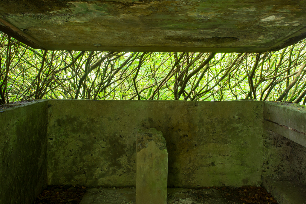 Recording Clydeside Coastal Defences