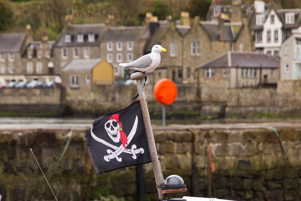 Here be pirates - Historic Environment Scotland Blog