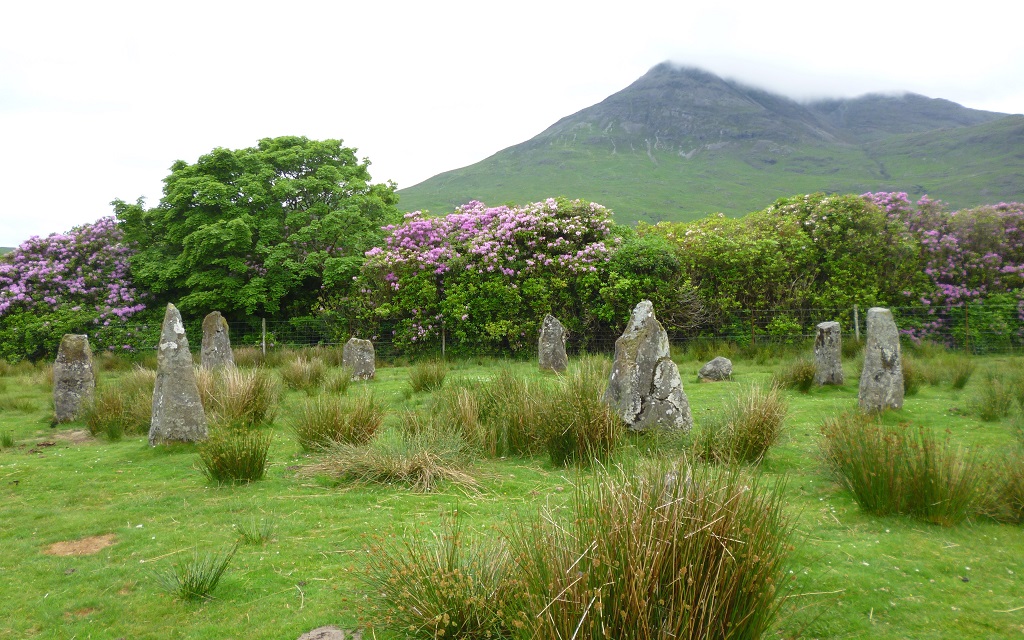 Roving Reporters: The Work of the Field Officer Team | HES