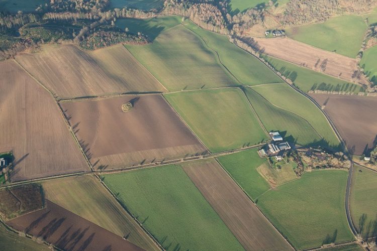 Roving Reporters: The Work of the Field Officer Team | HES