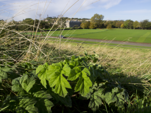 A Women's History Tour of Holyrood Park