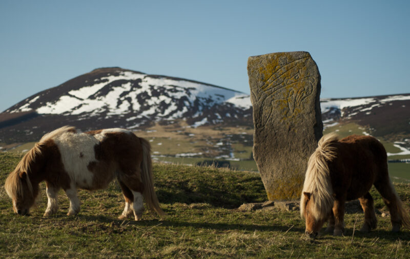 What's Left of the Picts? Scotland's Pictish Stones - Historic ...